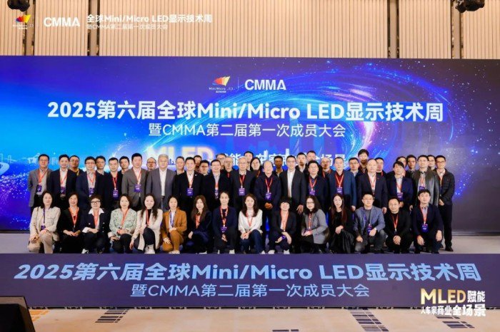 合作之声 | 天马亮相2025第六届全球Mini/Micro LED显示技术周|显示技术|天马|MLED_新浪科技_新浪网