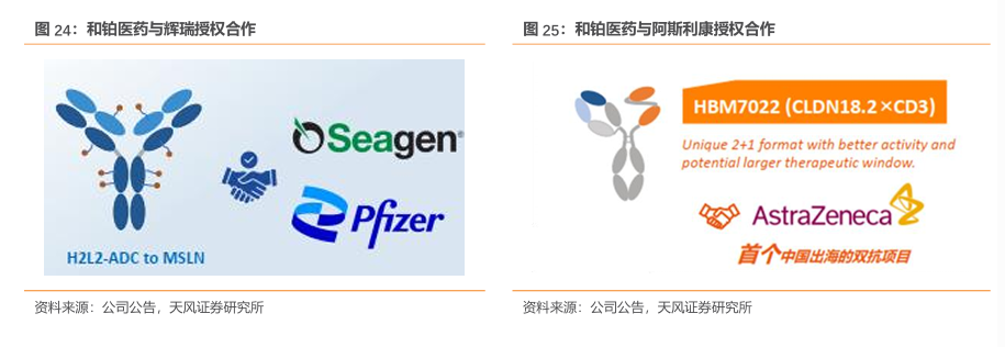 【天风医药杨松团队|首次覆盖】和铂医药-B：稀缺抗体生态浩海扬帆，开启自研合作 BD 三重奏|杨松_新浪财经_新浪网