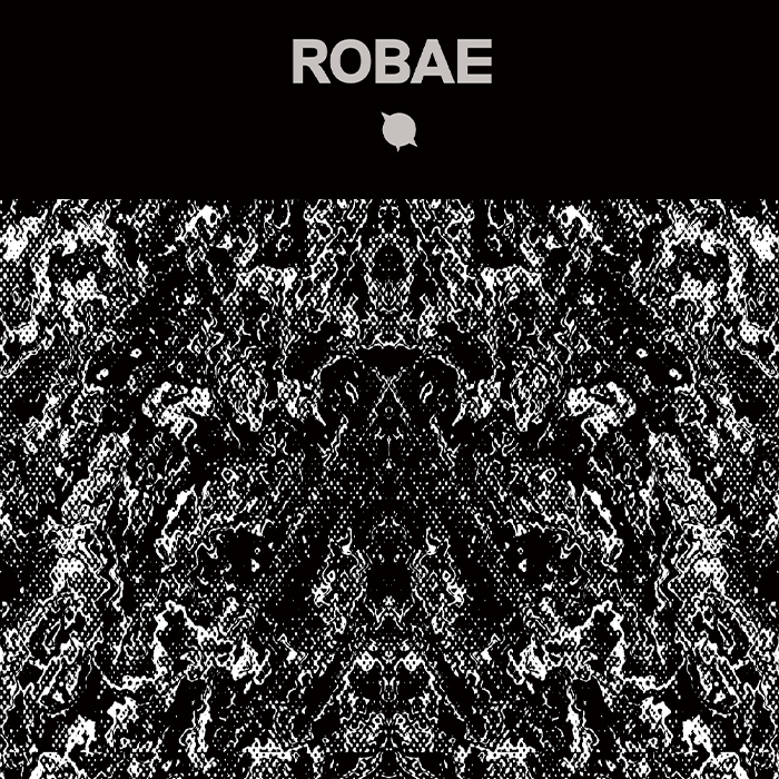 ROBAE：以实验精神探索未来，记录人类文明新维度|历史_新浪财经_新浪网
