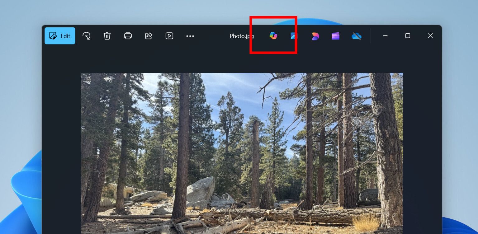 微软邀测 Win10 / Win11 新版照片应用：OCR 搜索、整合 Copilot、支持 JXL|微软|Win11|Win10_新浪科技_新浪网
