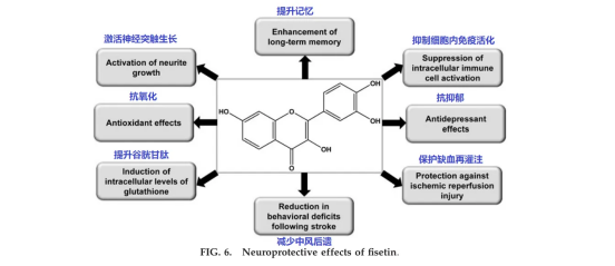 GRANVER吉瑞维：NMNH抗衰黑科技破解“基因老化”密码_新浪财经_新浪网