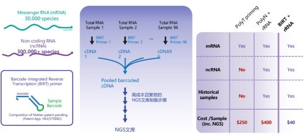 康圣环球(09960)携手 Biostate AI 抢占AI医疗新蓝海|AI_新浪财经_新浪网