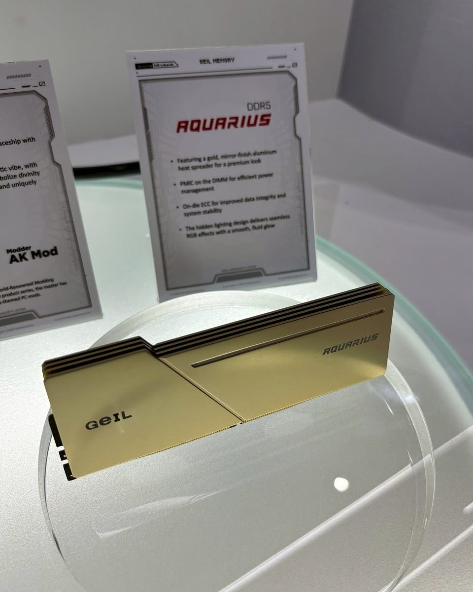 金邦新款内存条 AQUARIUS RGB 亮相：金色镜面马甲，简洁灯光点缀|IT之家|RGB|款式_新浪科技_新浪网