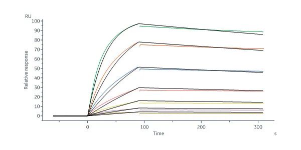 CD3蛋白助力突破TCE开发瓶颈|肿瘤_新浪财经_新浪网