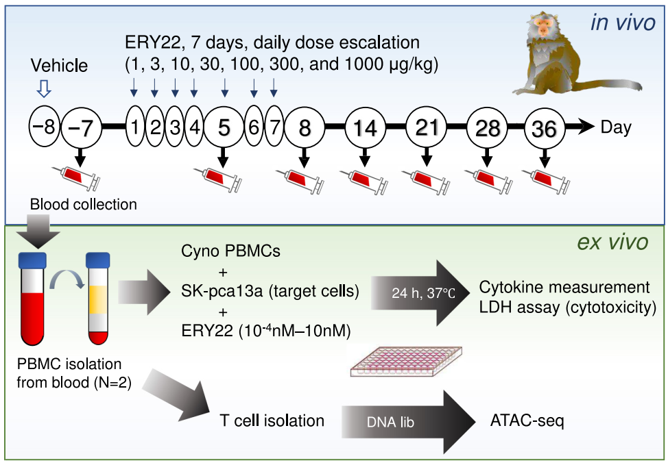CD3蛋白助力突破TCE开发瓶颈|肿瘤_新浪财经_新浪网