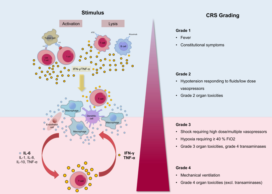 CD3蛋白助力突破TCE开发瓶颈|肿瘤_新浪财经_新浪网