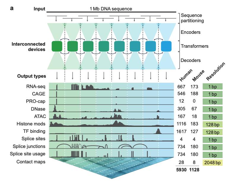 DeepMind發佈AlphaGenome，1秒內完成所有模態和細胞類型的變異效應預測 - 新浪香港