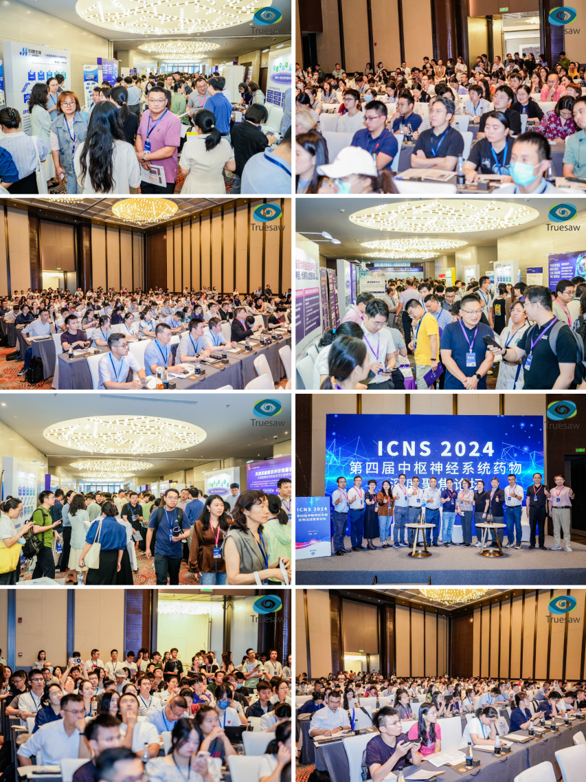 CNS药物领域重磅盛事！ICNS 2025第五届中枢神经系统药物深度聚焦论坛汇集顶尖专家，震撼来袭！|论坛_新浪财经_新浪网