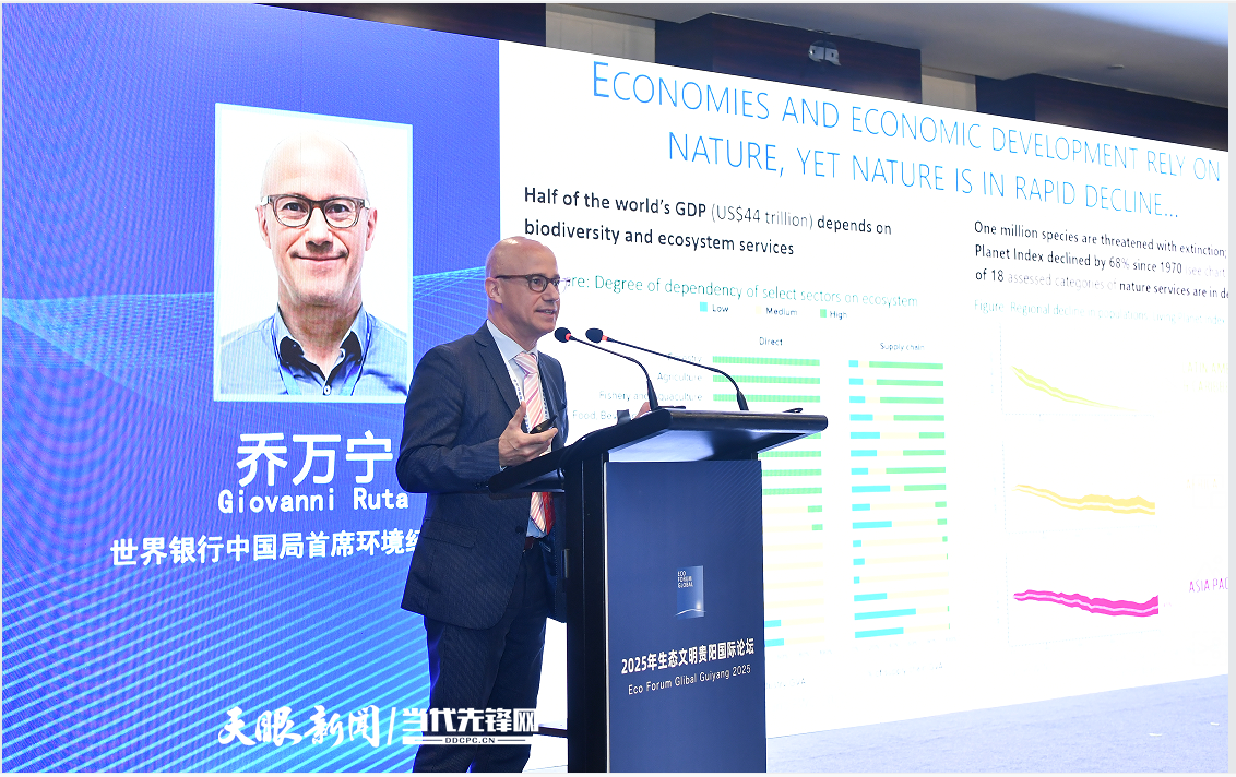 世界银行中国局首席环境经济学家乔万宁：加强生物保护力度提高经济价值｜2025年生态文明贵阳国际论坛|世界银行_新浪财经_新浪网