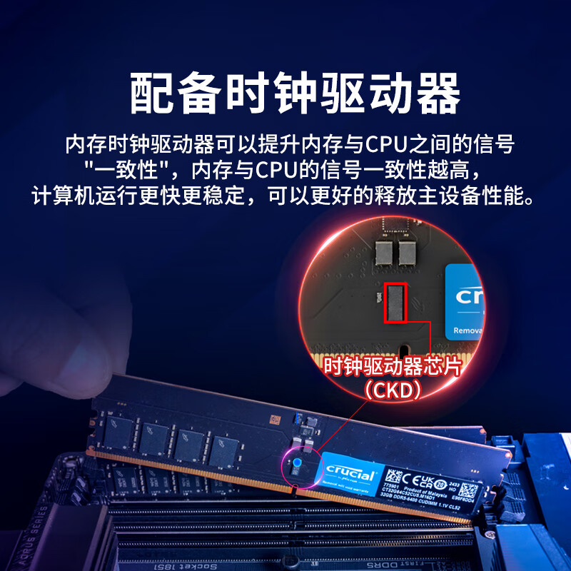 16GB 单条 599 元、32GB 单条 1199 元，英睿达 DDR5-6400 CUDIMM 内存上市|内存|英睿达_新浪科技_新浪网