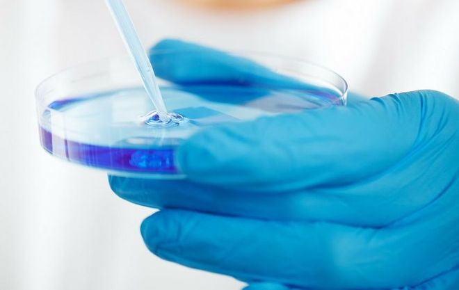 瑞士生物科技公司Numab Therapeutics研发多特异性抗体药物，提升癌症与炎症治愈率 | 瑞士创新100强|多特蒙德_新浪财经_新浪网