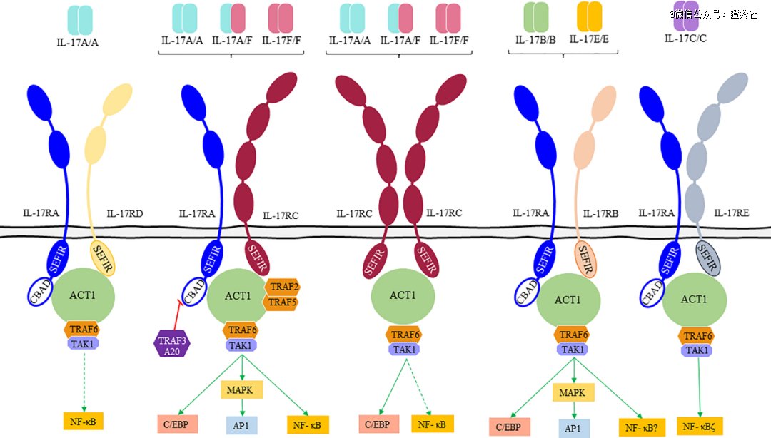 国产王炸，干翻60亿美元大药|库奇_新浪财经_新浪网