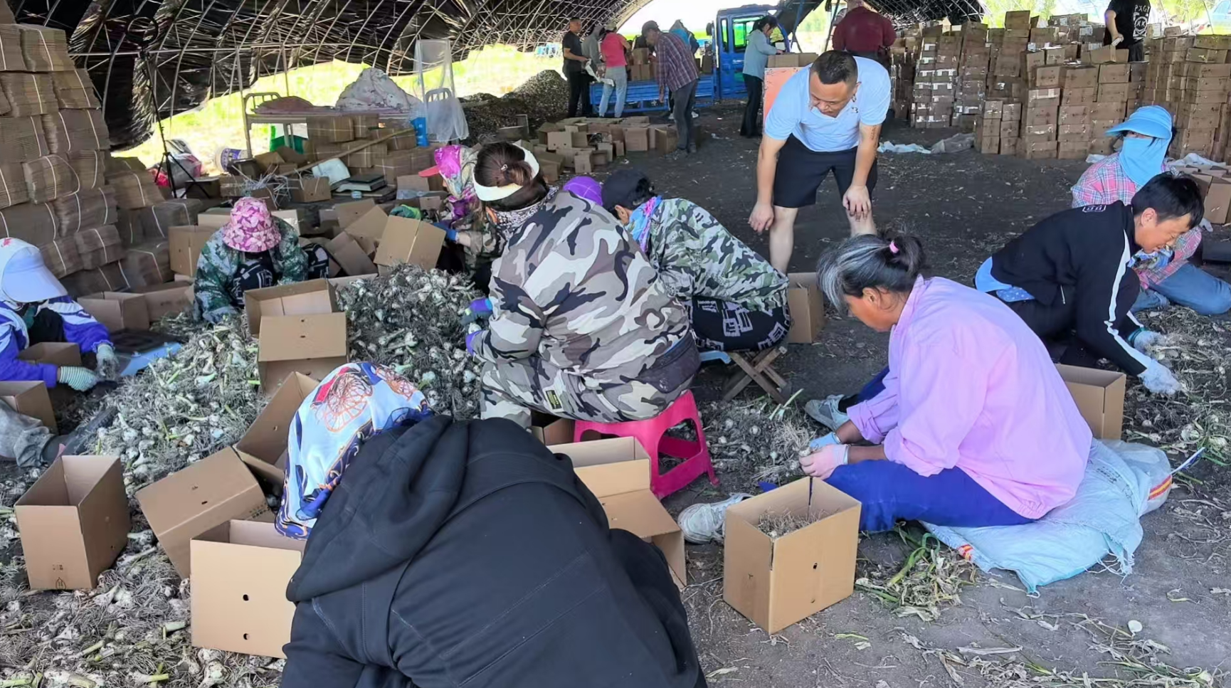 阳光农险：聚焦农户需求 提供多元化风险保障_新浪财经_新浪网