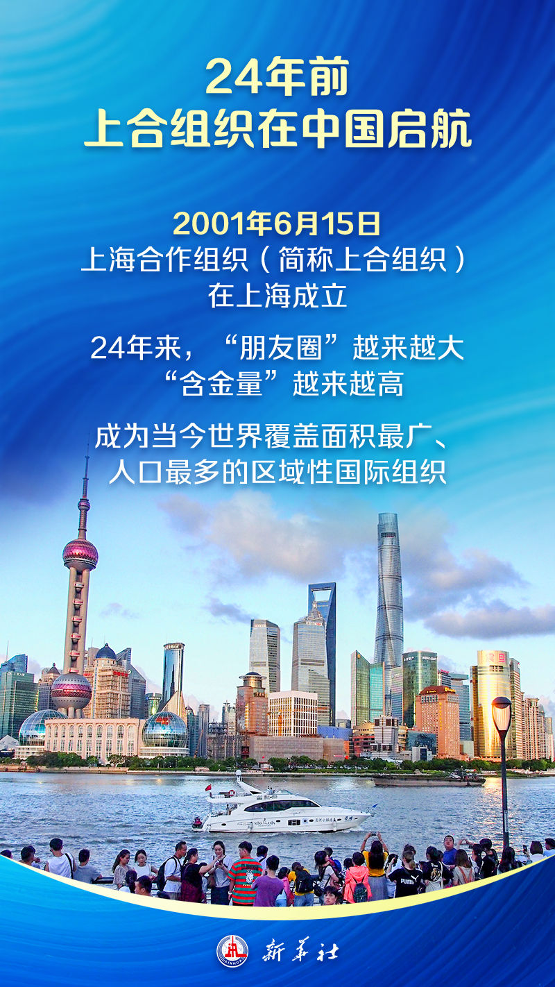 海报丨上合来了！ 上合组织 新浪财经 新浪网