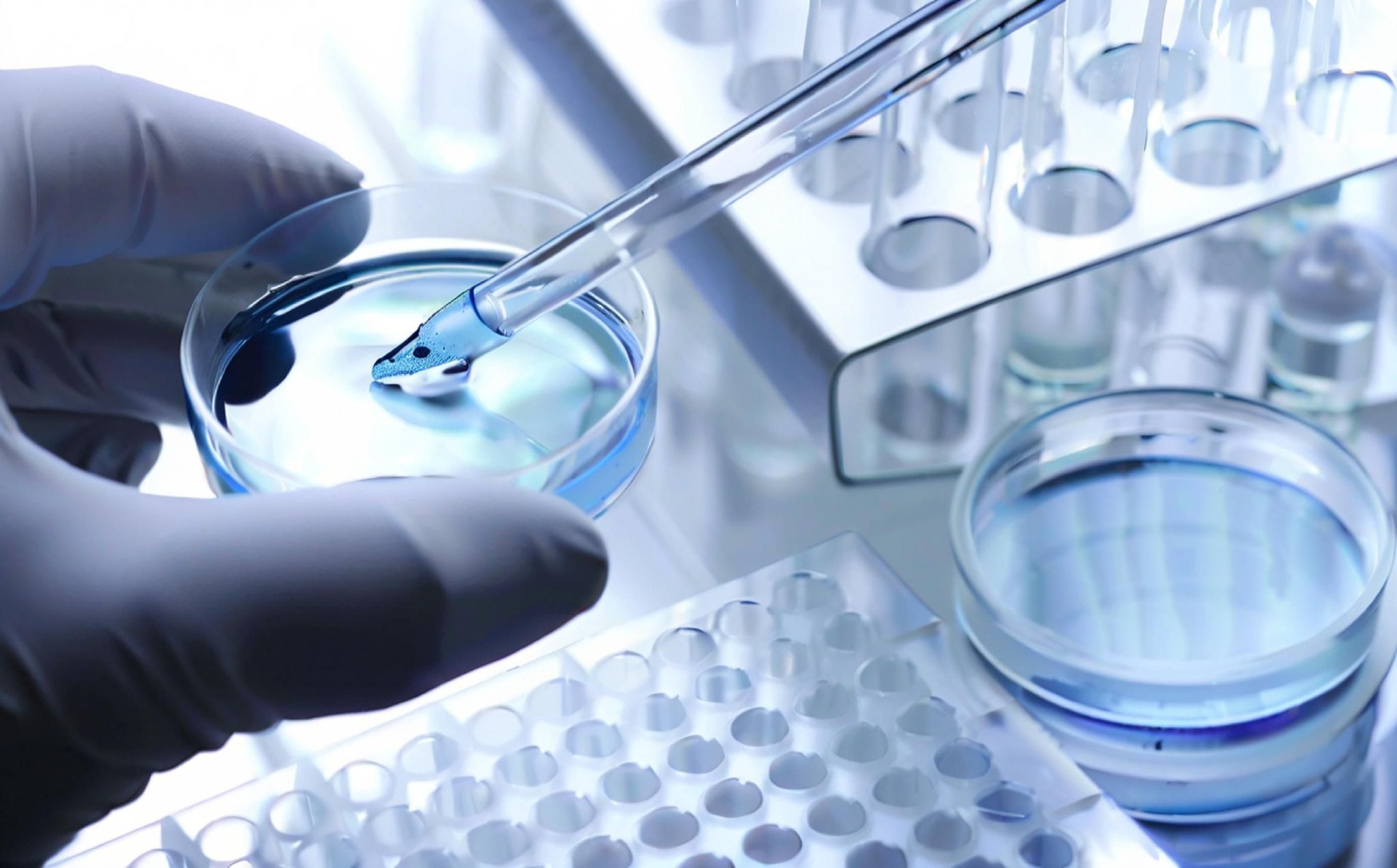 超11亿美元，科弈药业全球首款纳米双抗ADC药物出海|肿瘤_新浪财经_新浪网