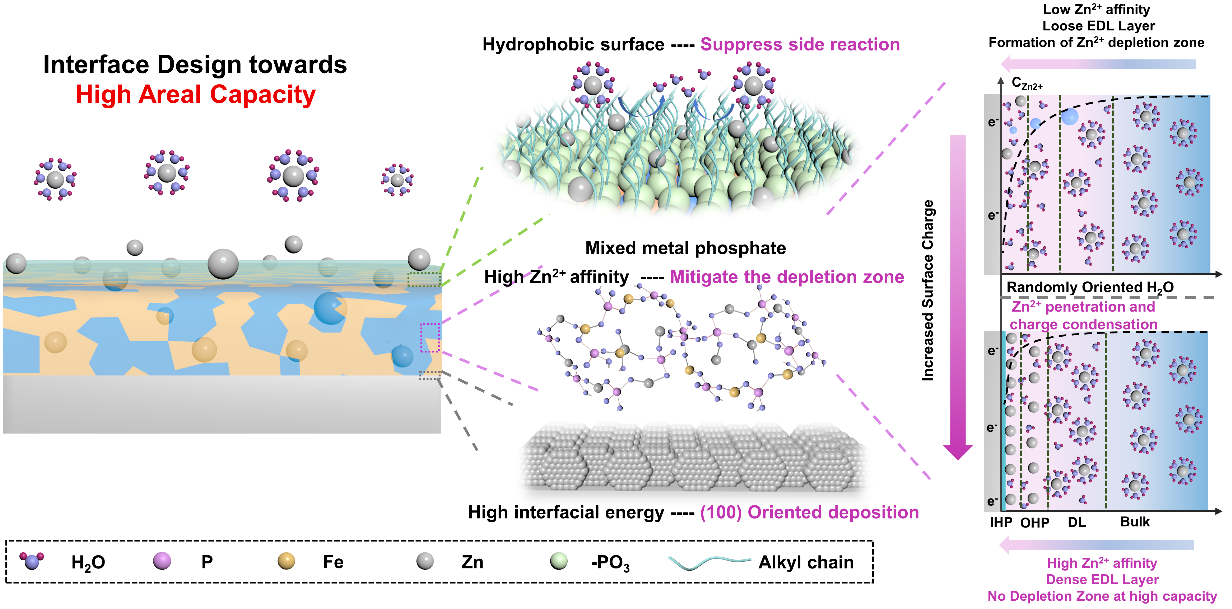 物理学院王义展教授课题组在水系锌离子电池研究方面取得新进展|吉林大学物理学院|吉林大学|阳极|界面_手机新浪网