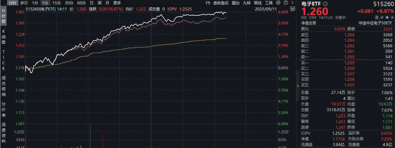 海光信息等9股涨停！电子ETF（515260）暴拉6%！|ETF_新浪财经_新浪网