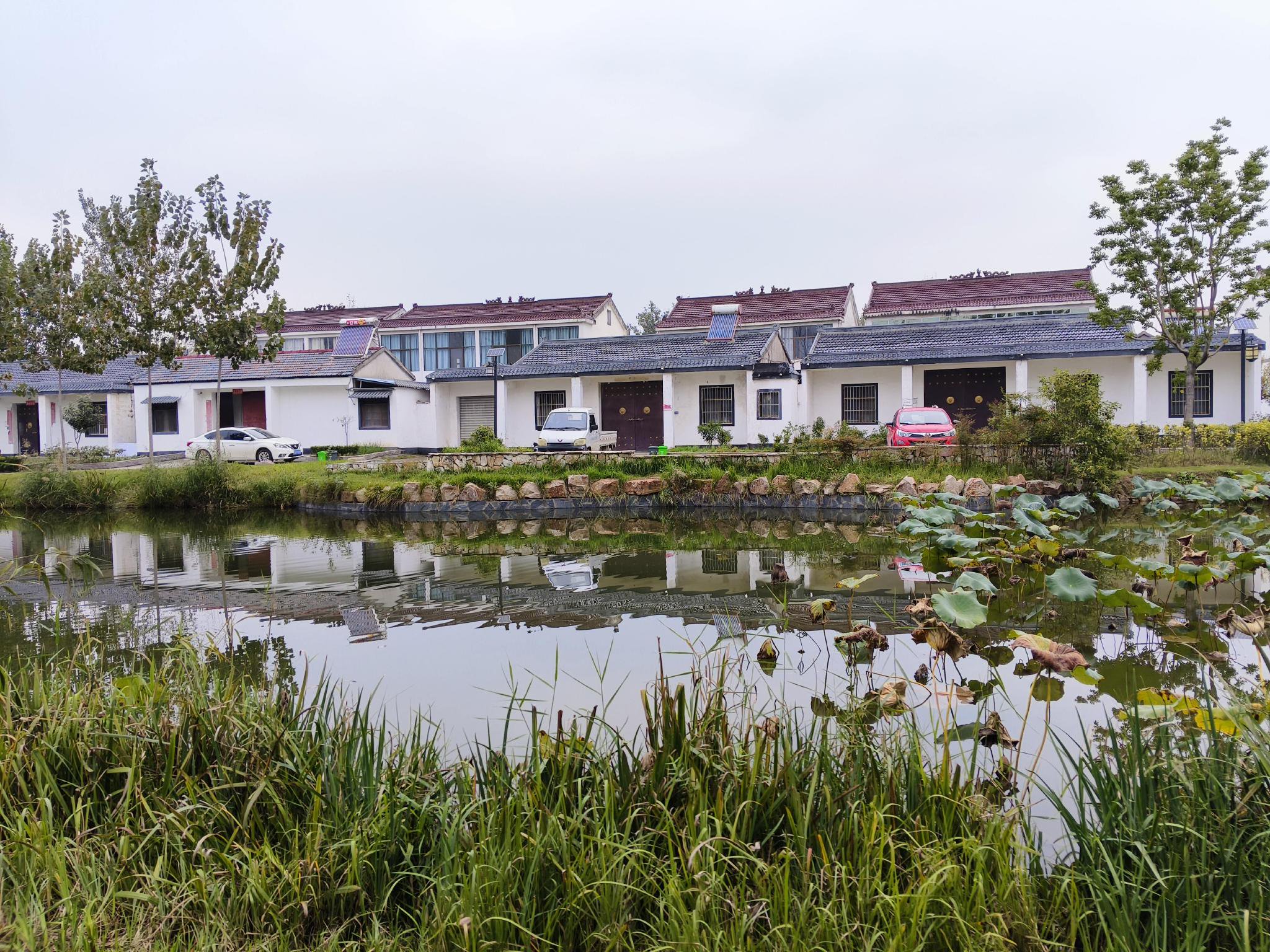从“一时美”到“长久美”，江苏宜居宜业和美乡村片区建设初见成效|江苏省_新浪新闻