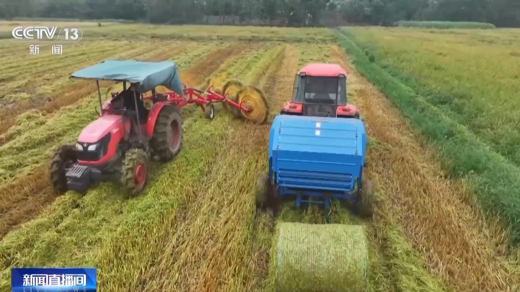 秋收进入冲刺阶段 各地多举措确保粮食“颗粒归仓”|棉花_新浪财经_新浪网