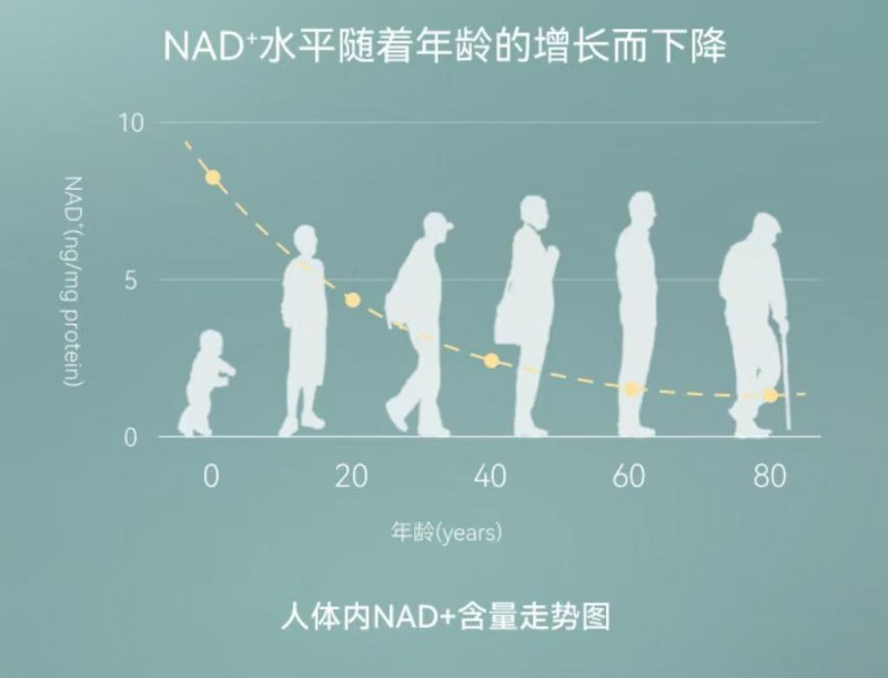 HVE赫曼因 NMN成抗衰主流，中老年与职场精英热捧，引领国际健康新方向！|美国_新浪财经_新浪网