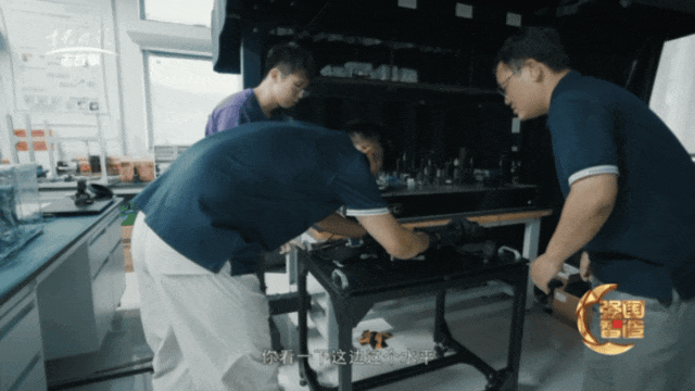 超同行20倍+，微米级精度！清华团队突破浮游生物原位监测难题|微米|浮游生物|监测