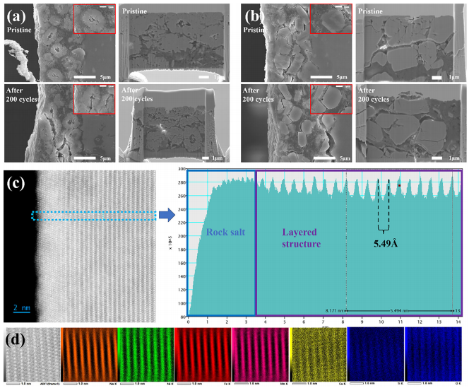 【科技】厦门大学「国家杰青」杨勇AEM：Cu/Ti掺杂，优化合成单晶钠电正极|杨勇_新浪财经_新浪网