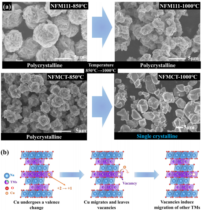 【科技】厦门大学「国家杰青」杨勇AEM：Cu/Ti掺杂，优化合成单晶钠电正极|杨勇_新浪财经_新浪网