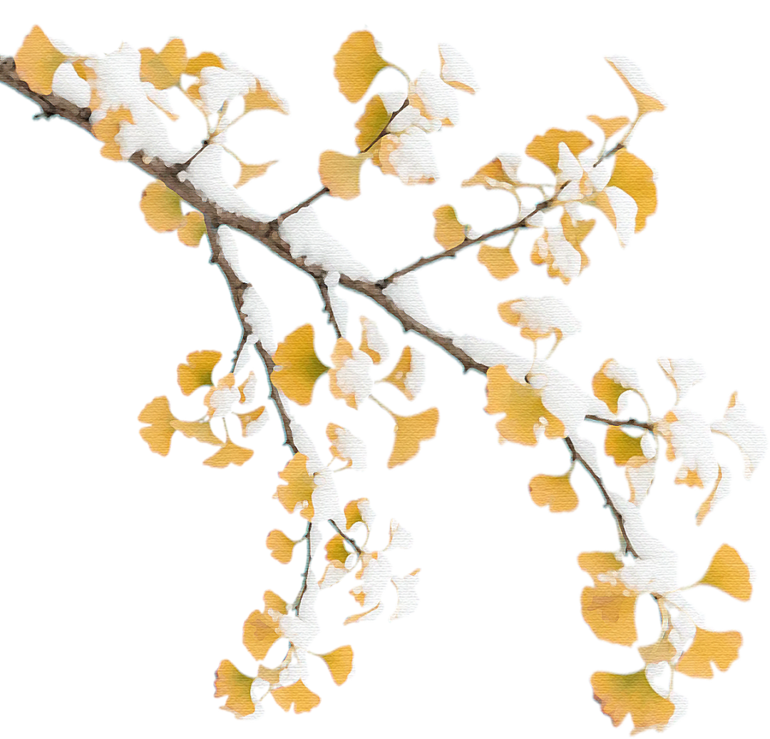 大雪至，冬意浓|大雪_新浪财经_新浪网