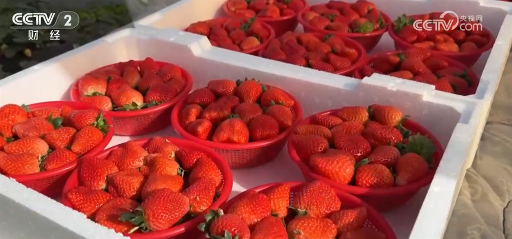 冬“鲜”上市丰富百姓“果盘子”“肉案子” 立体物流网络保障“鲜度直达”|百姓_新浪财经_新浪网