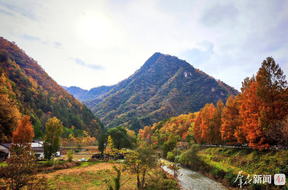 “一处美”→“全域美” 感受留坝和美乡村新图景|民宿|留坝县|民宿|美乡村|和美乡村_手机新浪网