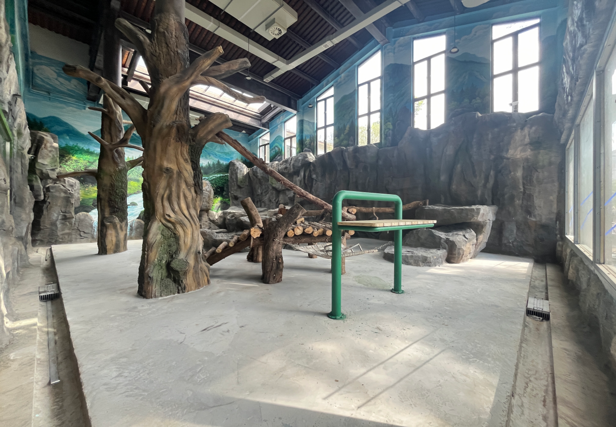 福州“喜提”五只大熊猫！提前看它们的新家|熊猫_新浪财经_新浪网