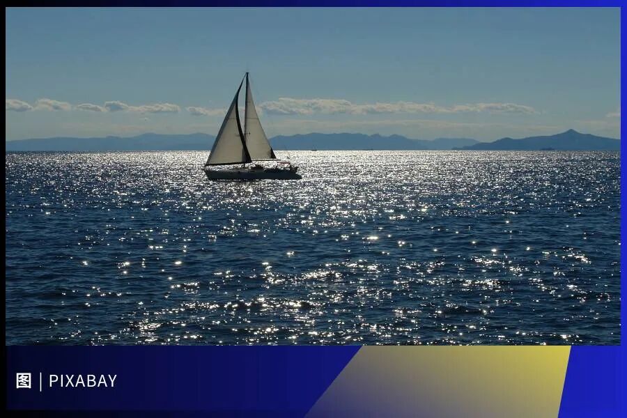 实体瘤免疫治疗困局，换打法了|肿瘤|生物|肿瘤_手机新浪网