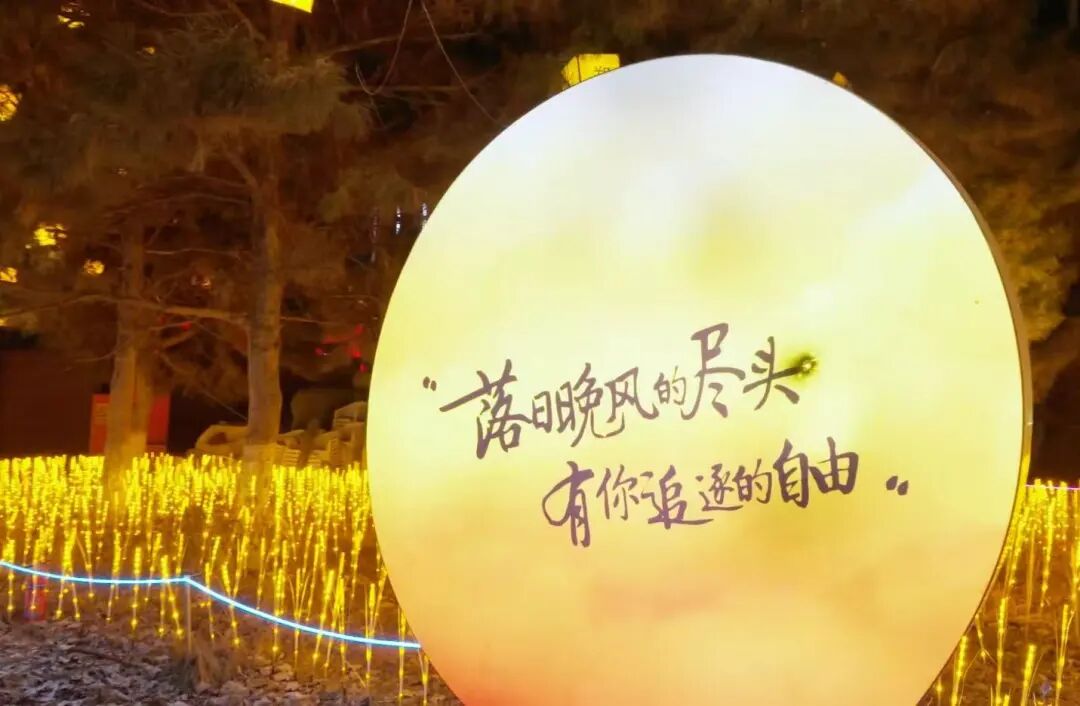 跨年灯会惊艳亮相！沈阳免费打卡地+1！|沈阳市_新浪财经_新浪网