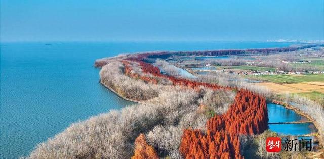 智者勇进•接续奋进新江苏|“洪”运当头 “泽”享新年——洪泽邀您共赴新春之约|江苏省_新浪财经_新浪网