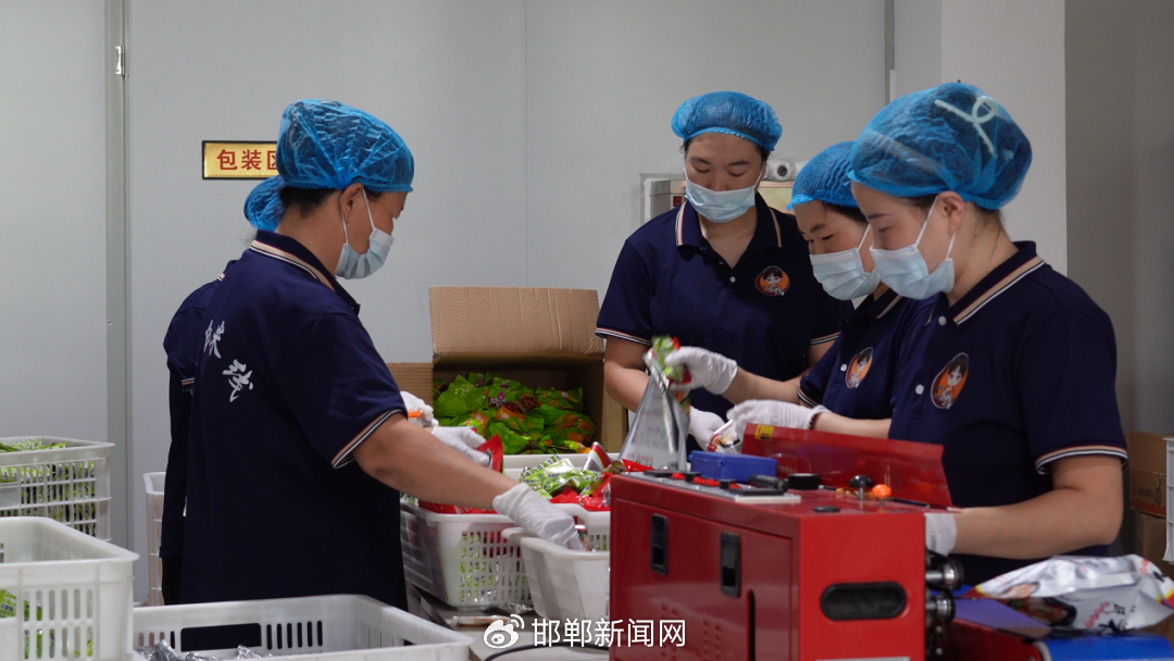 肥乡：“一品一播”让特产香飘全国|邯郸市_新浪财经_新浪网