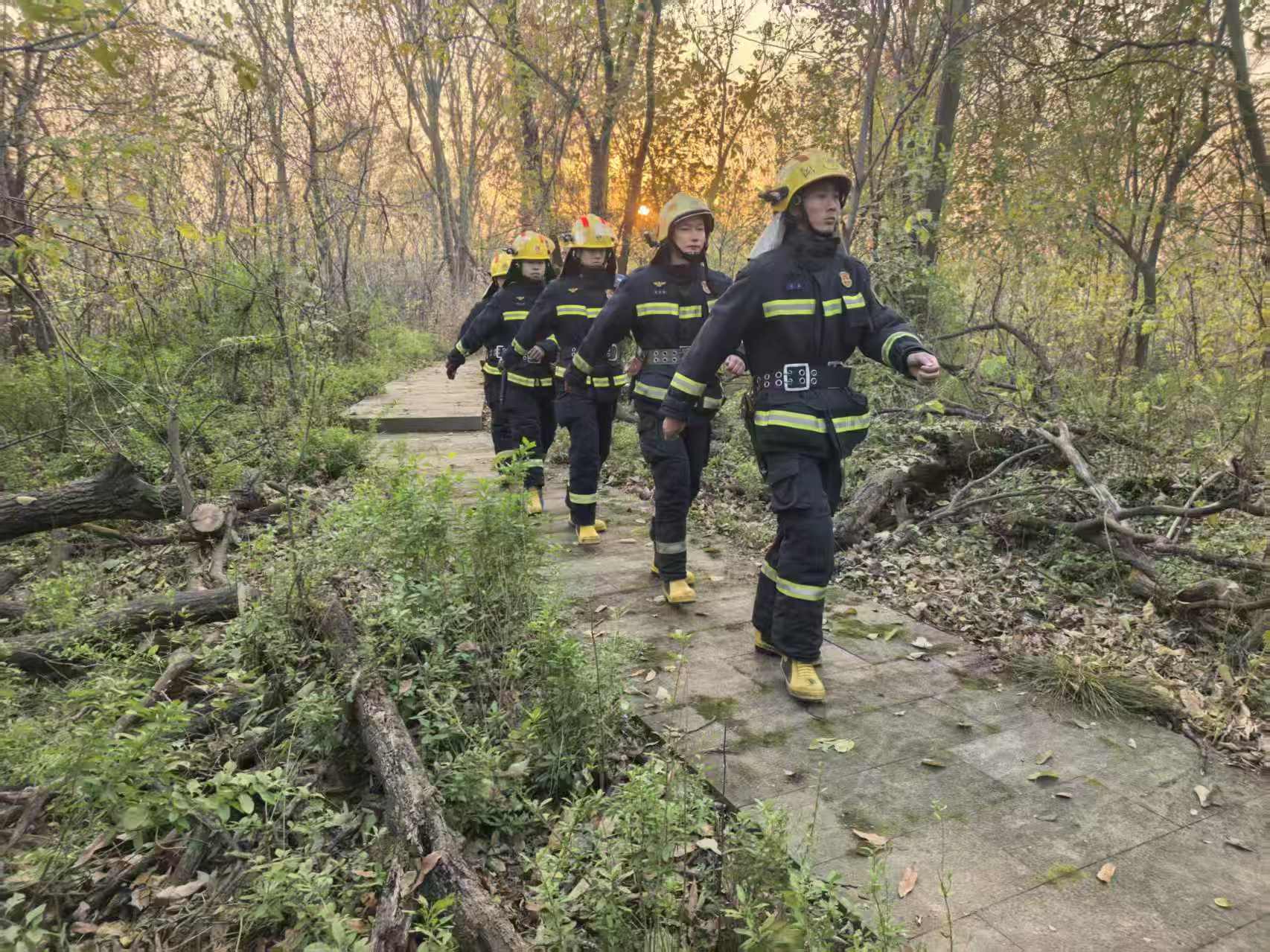 长丰县岗集镇应急消防站正式挂牌 “应消一体化”迈出实质性一步|安徽省_新浪财经_新浪网