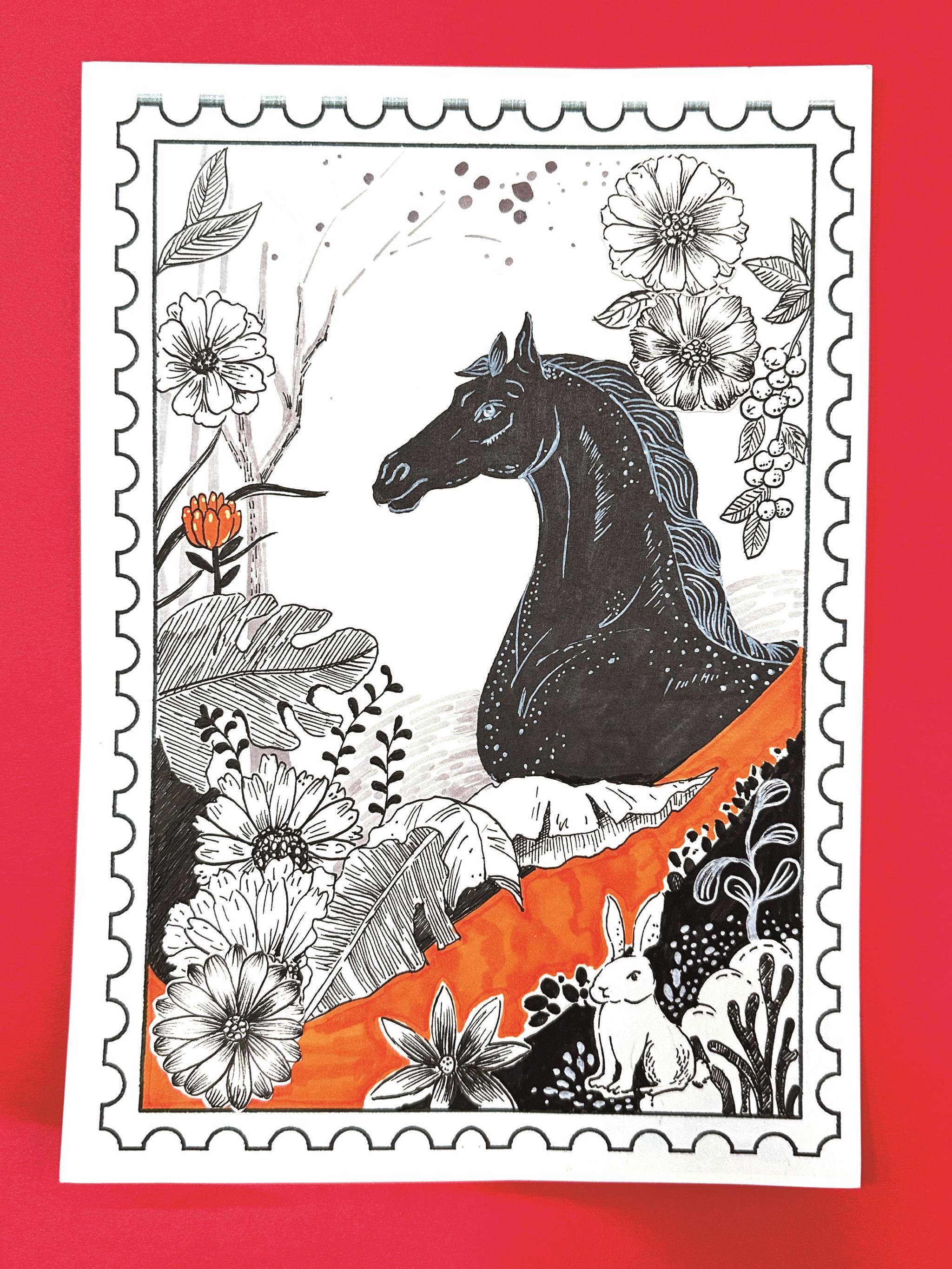 N凤鸣小学602班 叶嘉贺 指导老师 胡晓萍|小学_新浪财经_新浪网