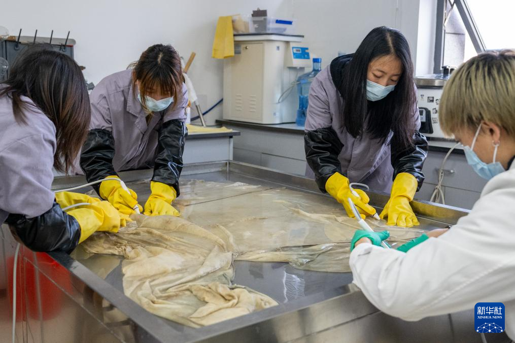 文化中国行丨湖北荆州：技术创新为有机质文物全生命周期“护航”|荆州市_新浪财经_新浪网