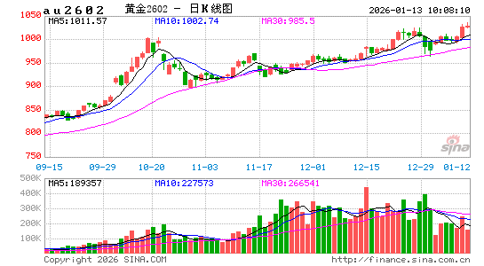 黄金期货创1026元历史新高_新浪财经_新浪网