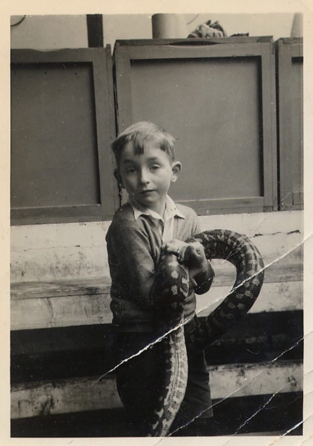 刚刚，Geoffrey Hinton成为第二位引用量破百万的科学家|Hinton_新浪财经_新浪网