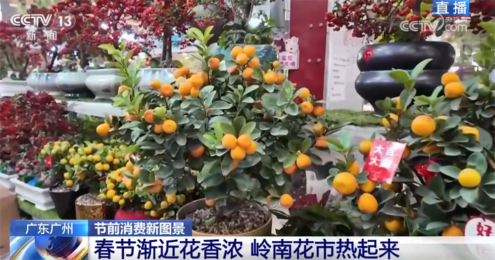 花市“热”起来涌动节前消费暖流 浓浓“年味”映射出中国市场韧性强、活力足|岭南_新浪财经_新浪网