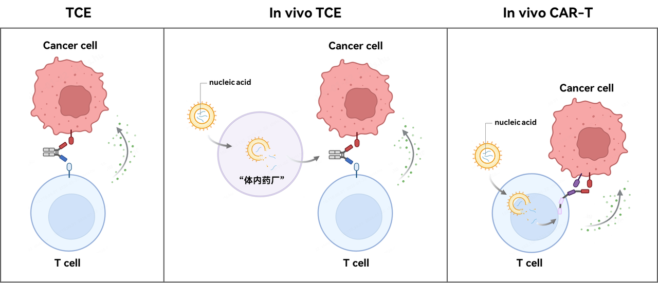 从JPM看免疫疗法趋势，菲鹏人猴交叉CD3 VHH赋能下一代管线|vivo|免疫疾病|疫情|抗体|纳米_手机新浪网