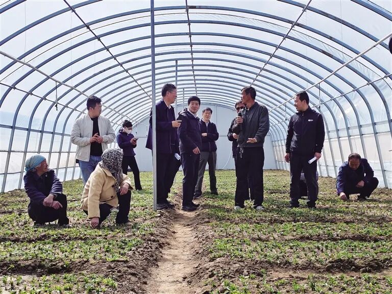 上门技术指导 田间实操授课 榆中灾区5个乡镇已完成播种11.33万亩_新浪财经_新浪网