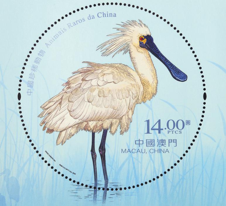 从默默耕耘到世界回响（附图片）|雕刻师_新浪财经_新浪网