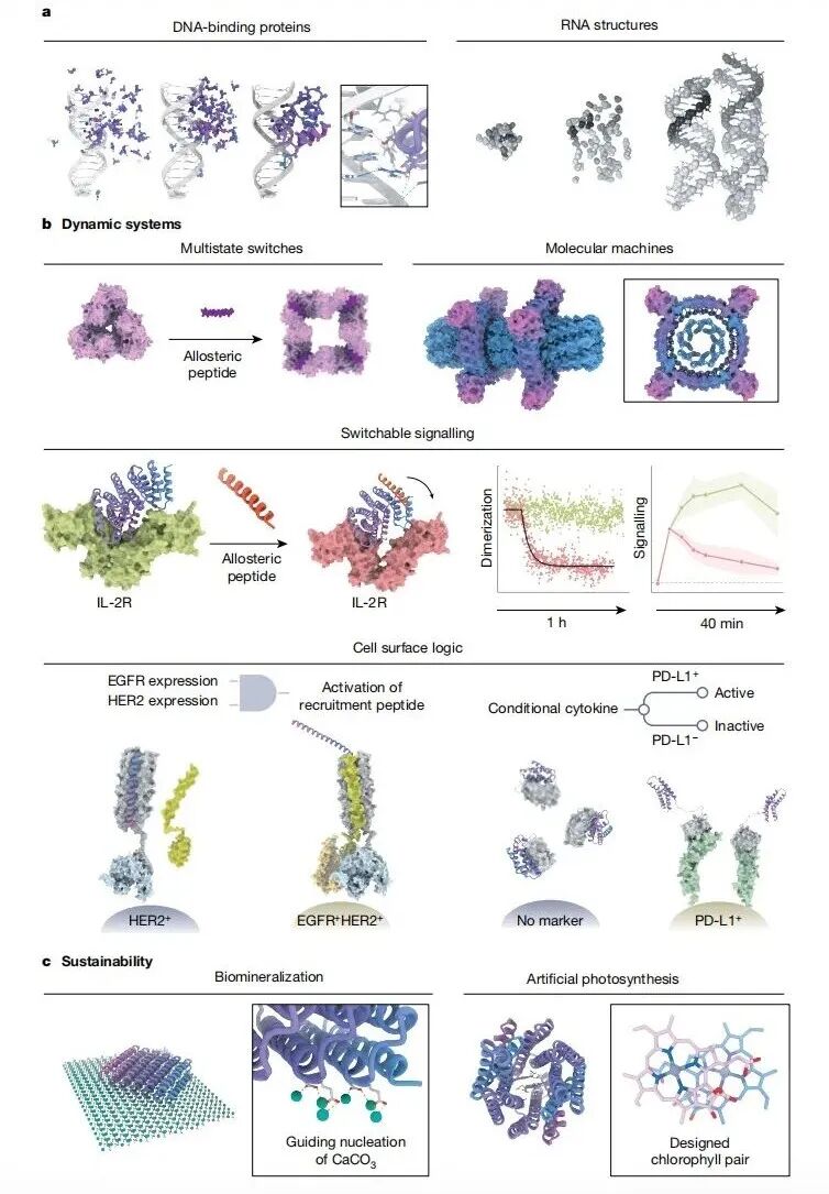 刚刚，诺奖得主David Baker团队Nature发文：AI正从“造分子”迈向“造机器”|RNA_新浪财经_新浪网