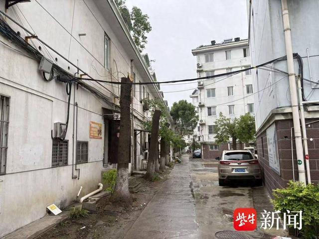 【丹阳一小区三百棵香樟树遭“砍头式”修剪】进展：当地城管局执法大队已介入，准备予以立案_新浪财经_新浪网