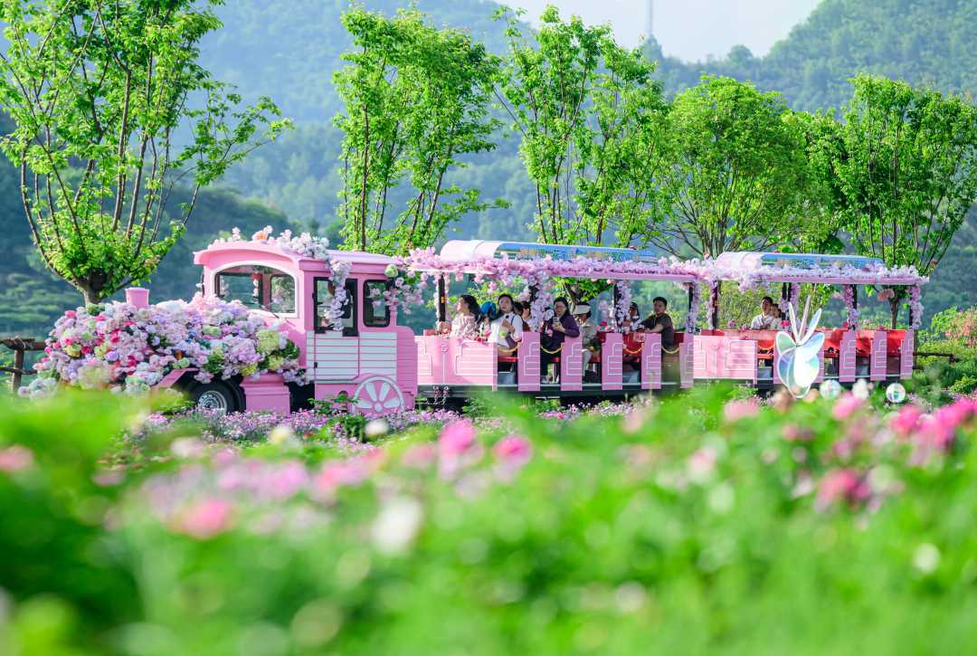 湖北竹山：观景赏花过“五一”_新浪财经_新浪网