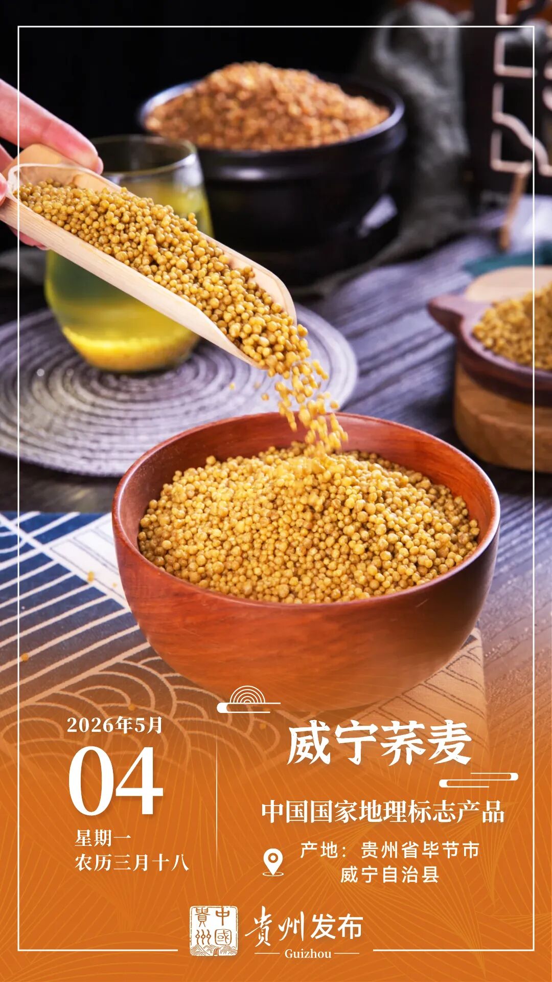 看见贵州︱威宁荞麦_新浪财经_新浪网