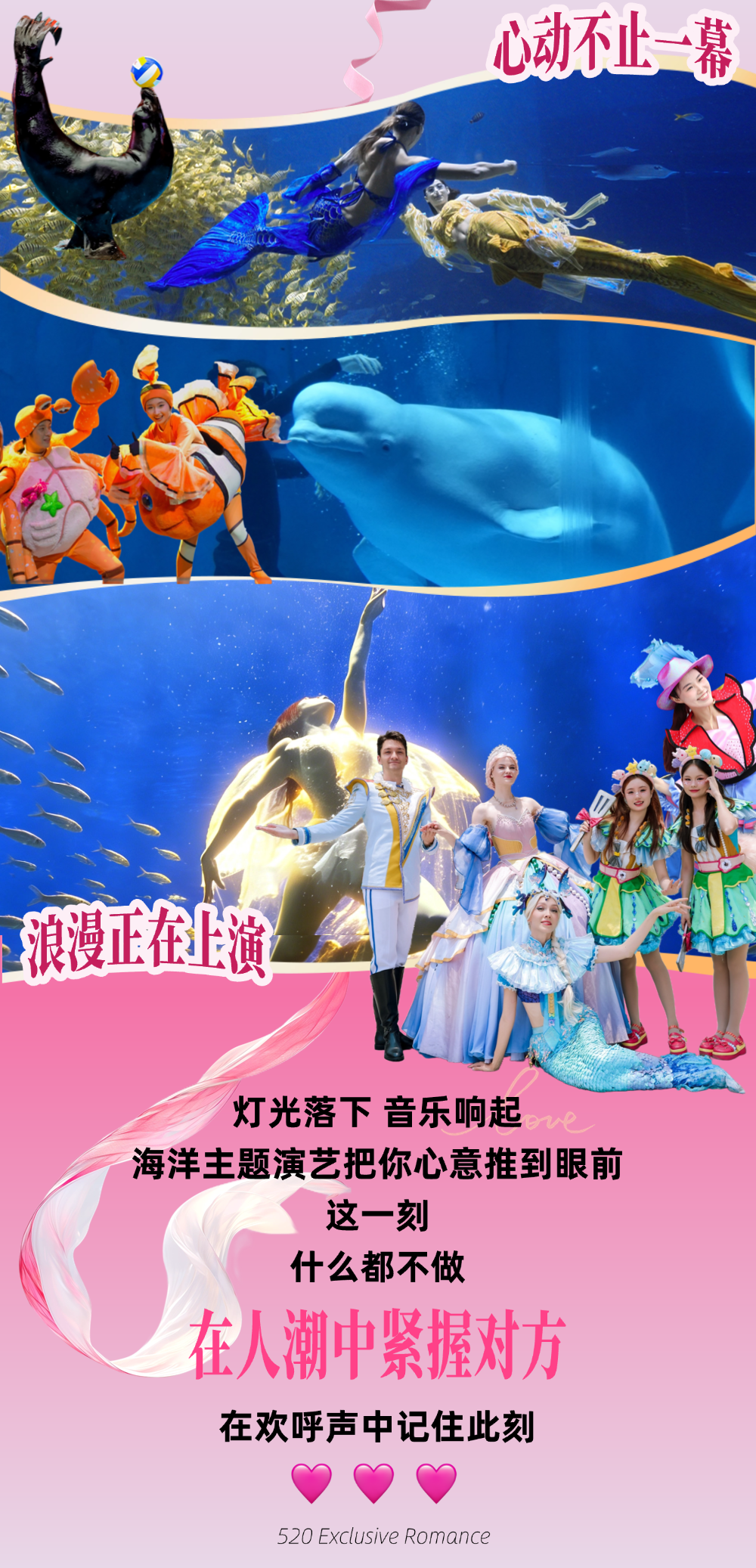 520！来抽个奖吧！_新浪财经_新浪网