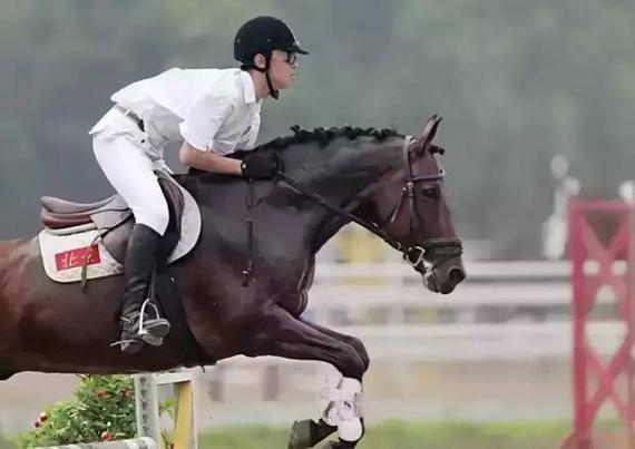 什么是盛装舞步？业余马术骑手如何练好盛装舞步_综合体育_新浪竞技风暴_新浪网